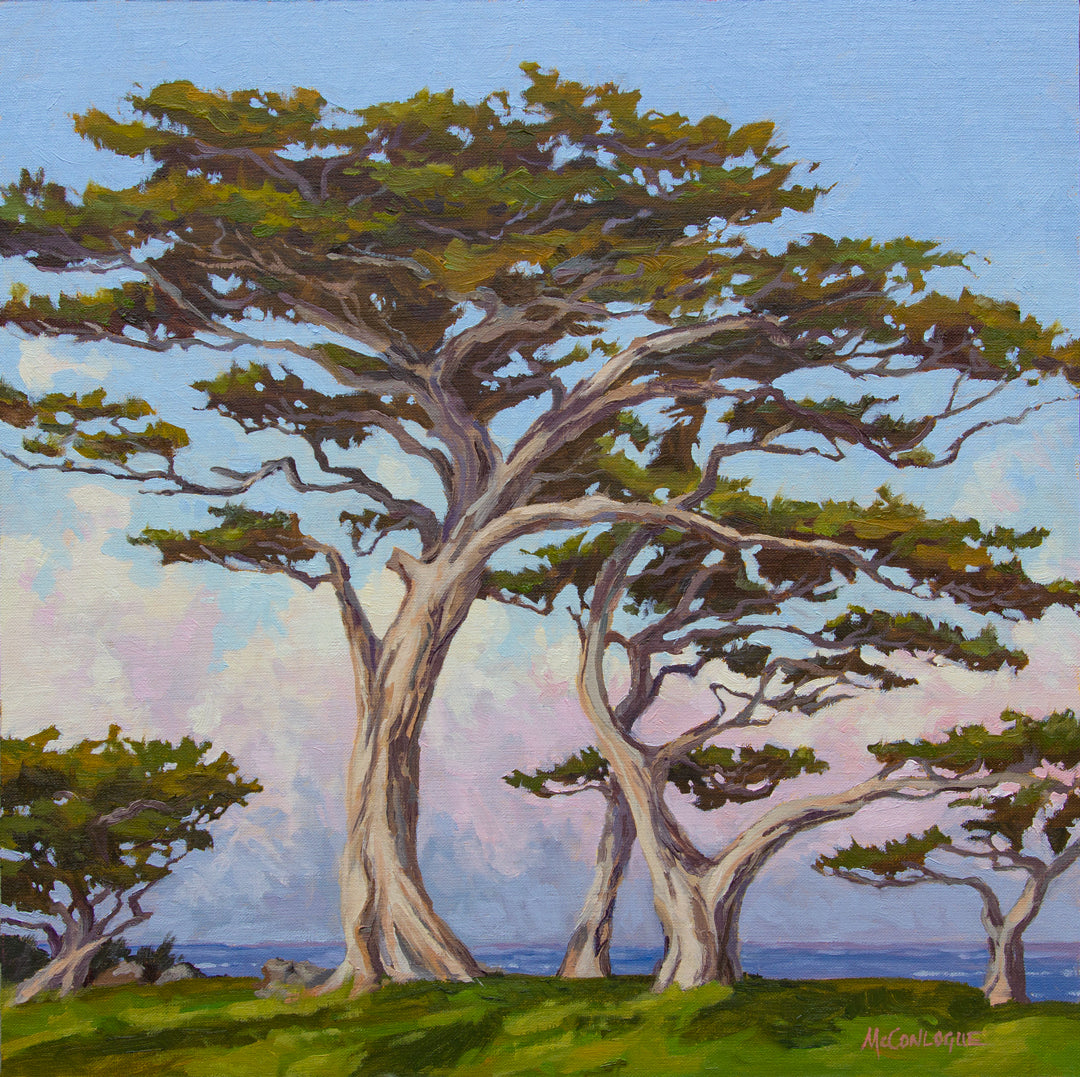 Monterey Cypress Morning Light original oil painting Jim McConlogue ...